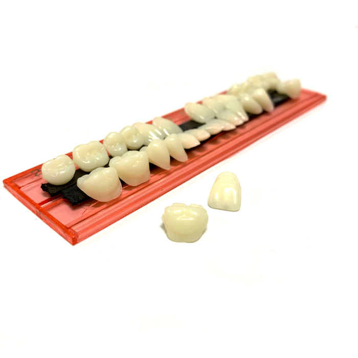 Professional Grade Fake Resin Teeth Set - 28 Pieces — NewRuleFX.com